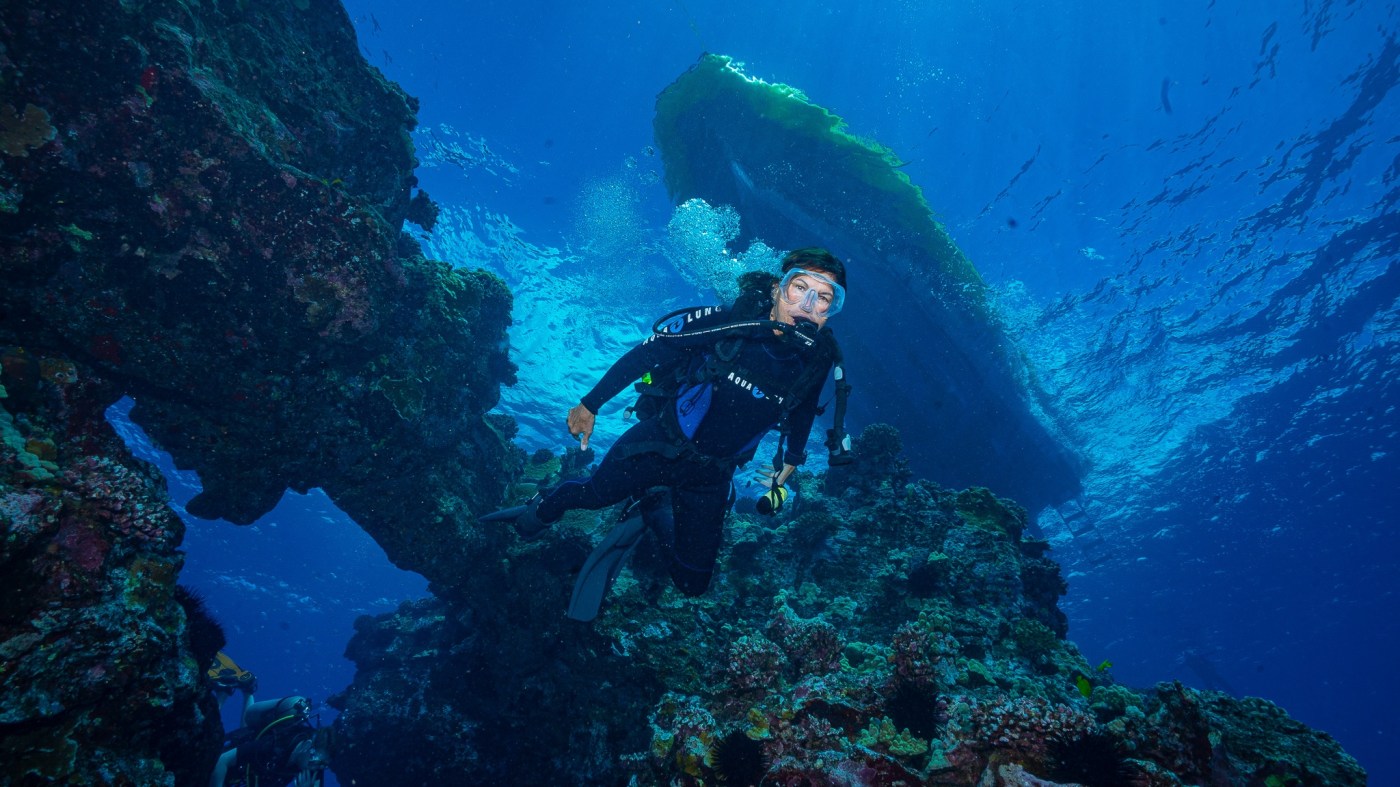 Discover Maui Scuba Diving in Hawaii | Discover Maui Activities